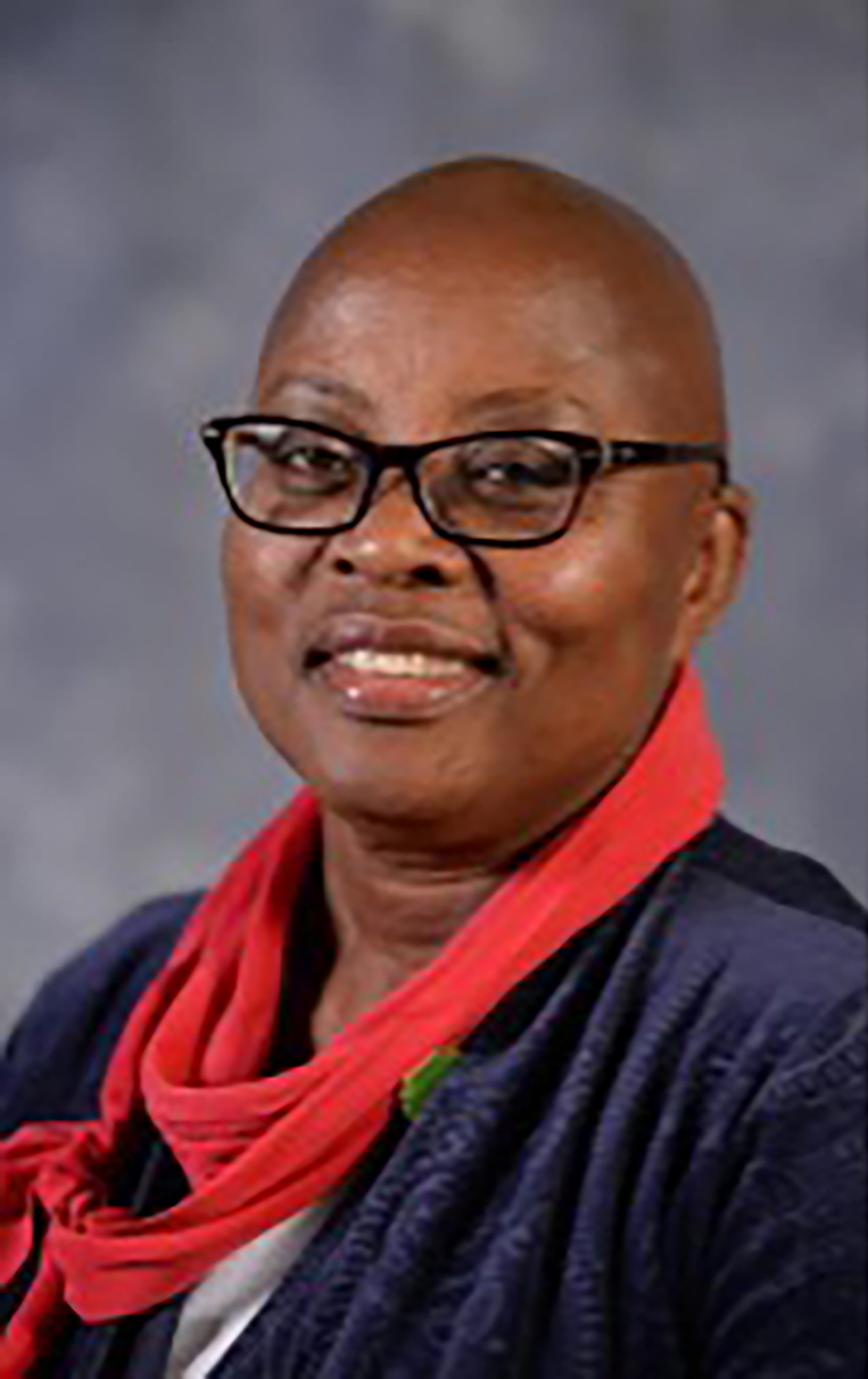 Presenters – Health Ministries