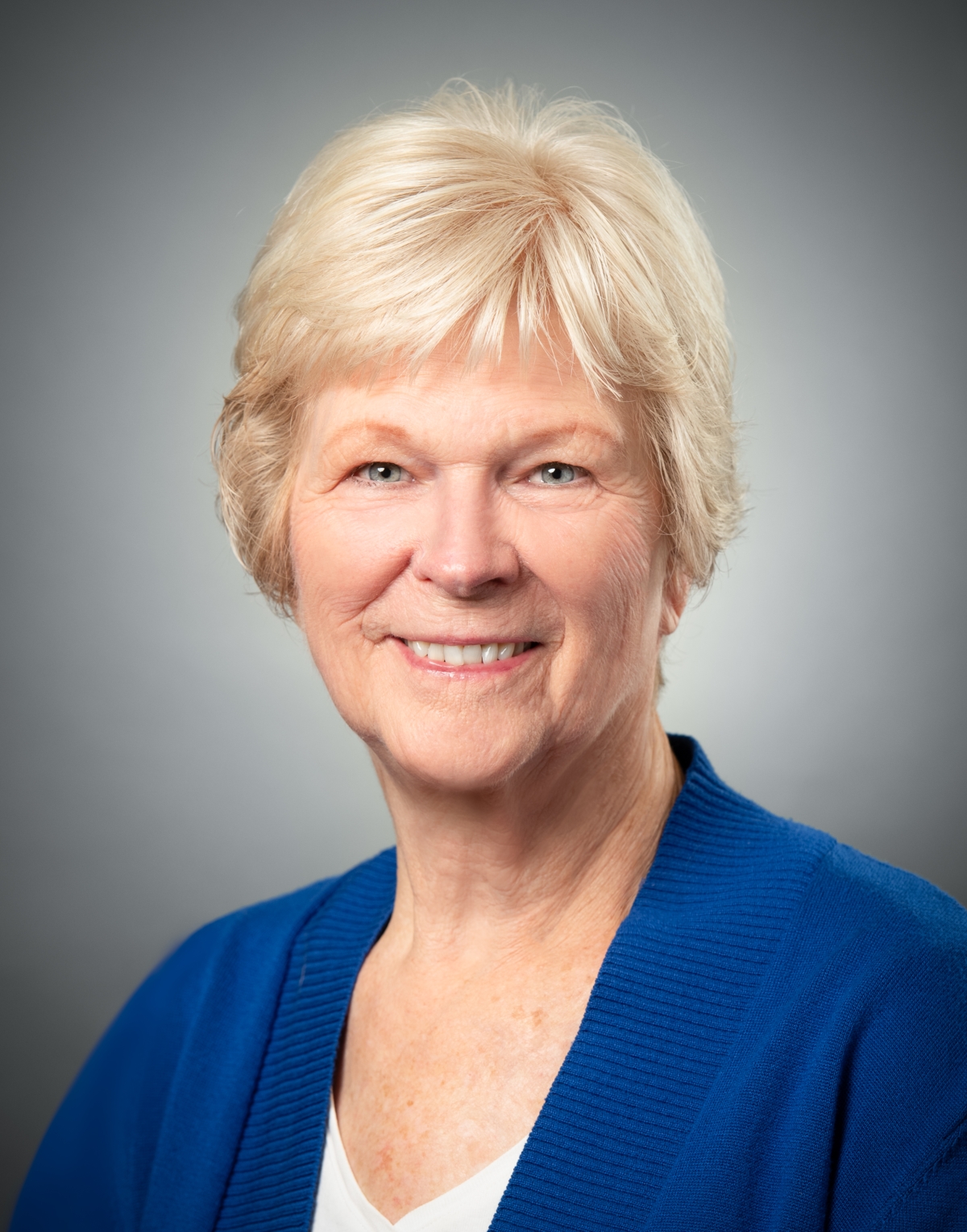 Health Summit Intensive 2024 – Health Ministries